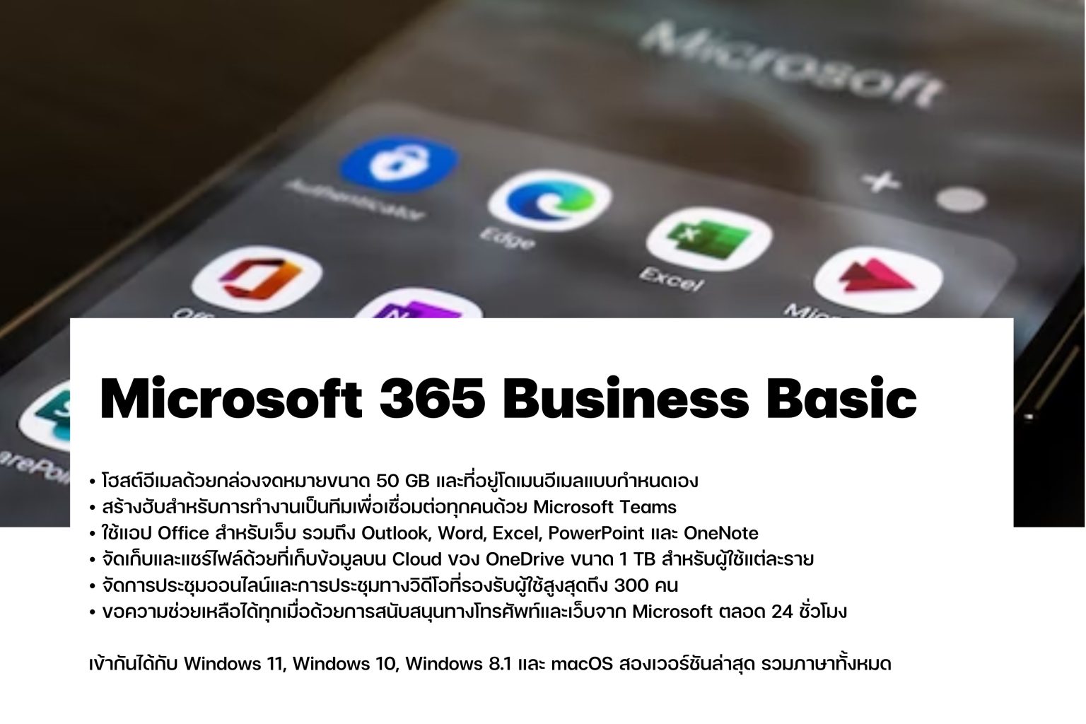 Monster Connect | Microsoft 365 Business Basic